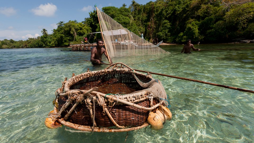 How Four Communities Value and Protect Their Mangroves | WWF