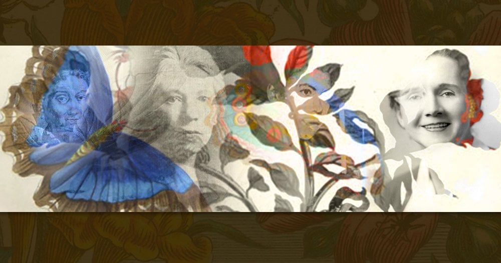 Four Women Who Changed Entomology and Inspired Conservation | World ...