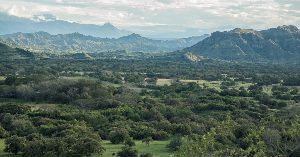 WWF Celebrates Global Conservation Wins in 2022 | World Wildlife Fund