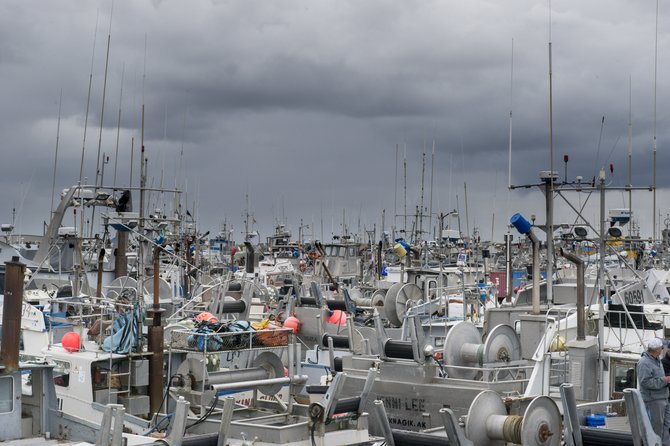 What Is Overfishing? | World Wildlife Fund