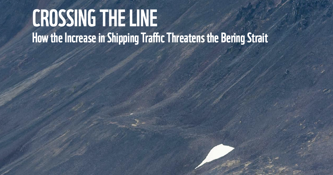 Crossing the Line: How the Increase in Shipping Traffic Threatens the ...