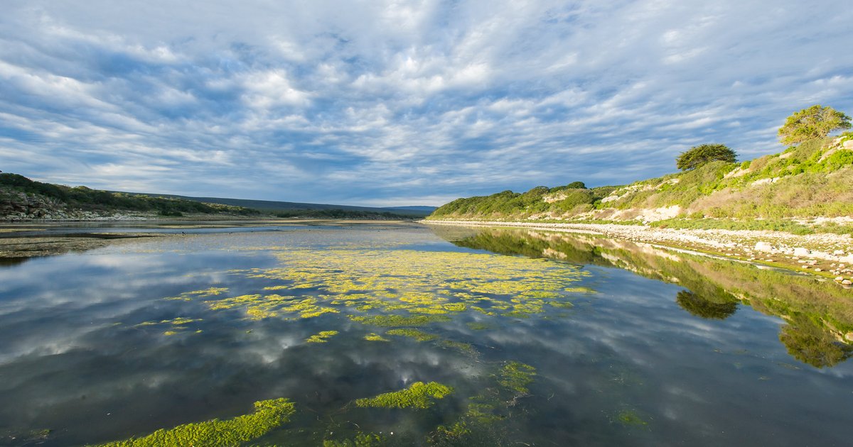 What Is a Wetland? Plus 8 Key Wetland Facts | WWF