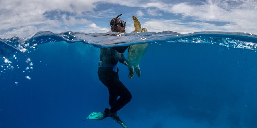 In Fiji, Community Monitors Help Protect Sea Turtles | World Wildlife Fund