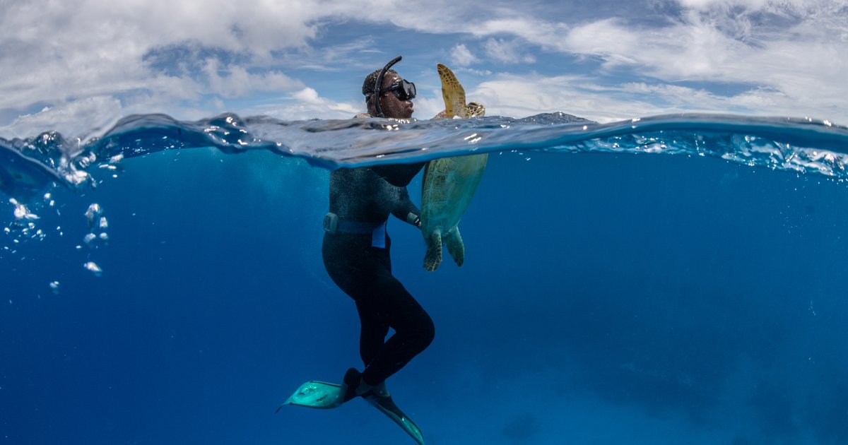In Fiji, Community Monitors Help Protect Sea Turtles | World Wildlife Fund