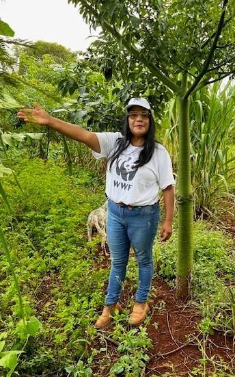 Baru Tree Reforestation Advances in Brazil’s Cerrado | World Wildlife Fund