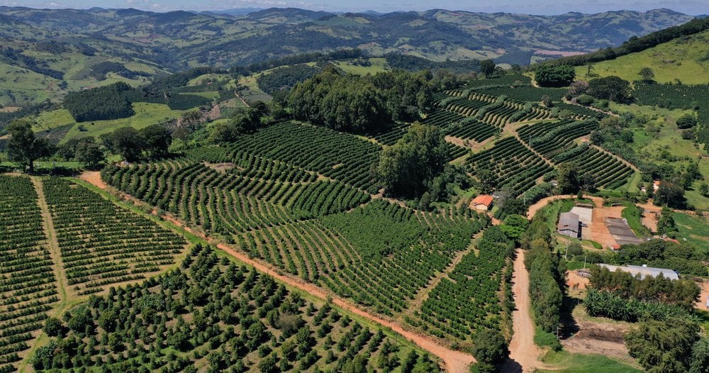 Sustainable Coffee Farming Faces Climate Uncertainty | WWF