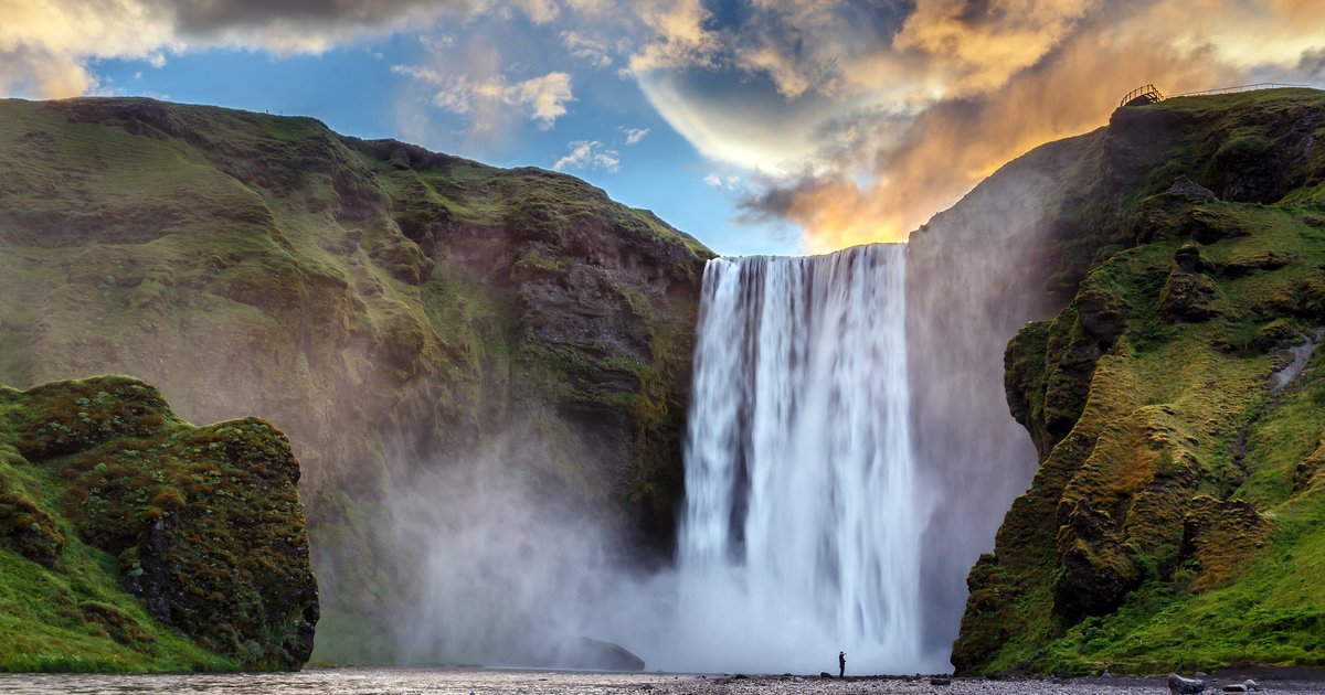 Finding Calm and Connection Through Nature | World Wildlife Fund