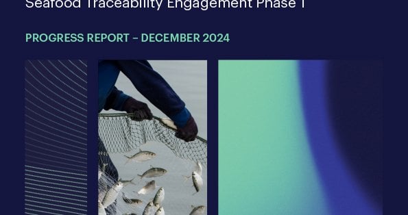 Tracing Risk and Opportunity: The Critical Need for Traceability in ...