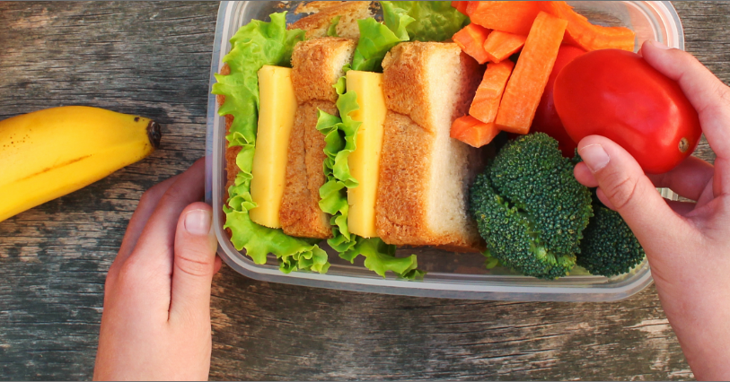 Bring Food Waste Warriors to your school | World Wildlife Fund