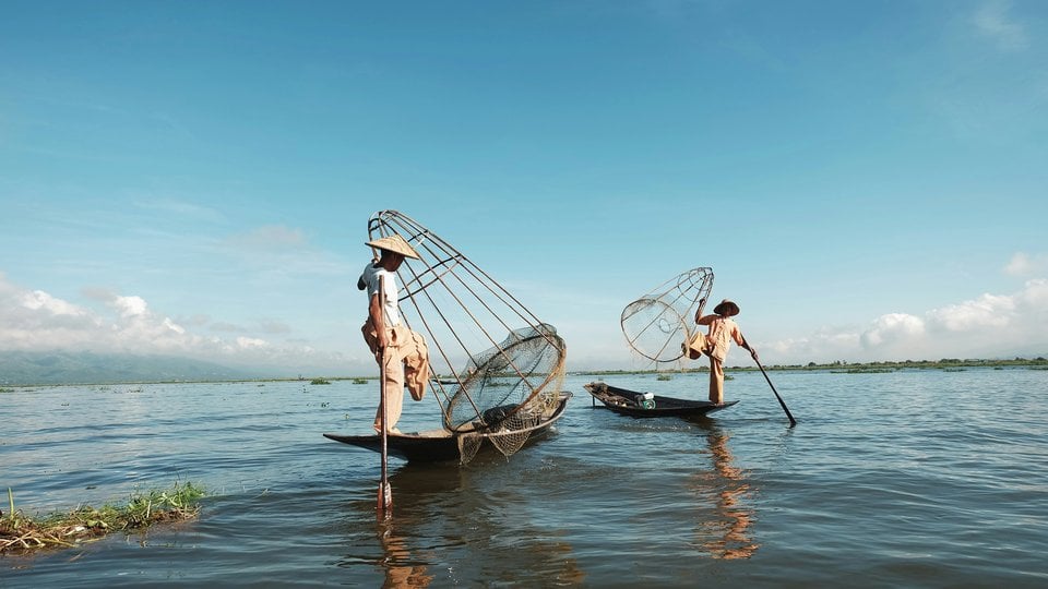 Why River Connectivity Matters | World Wildlife Fund
