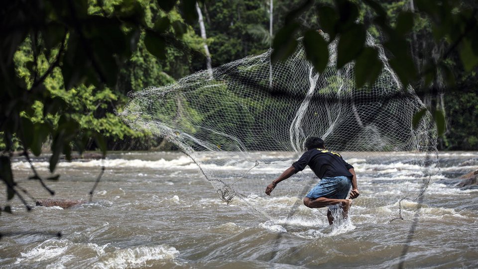 Protect Rivers and the Life They Sustain | World Wildlife Fund