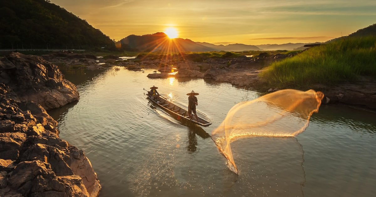 WWF Champions Freshwater Action at UN Water Conference | World Wildlife ...