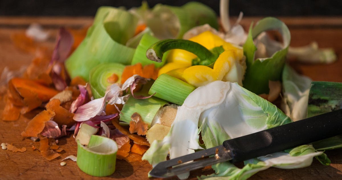 Fighting Food Waste in Schools With WWF | World Wildlife Fund