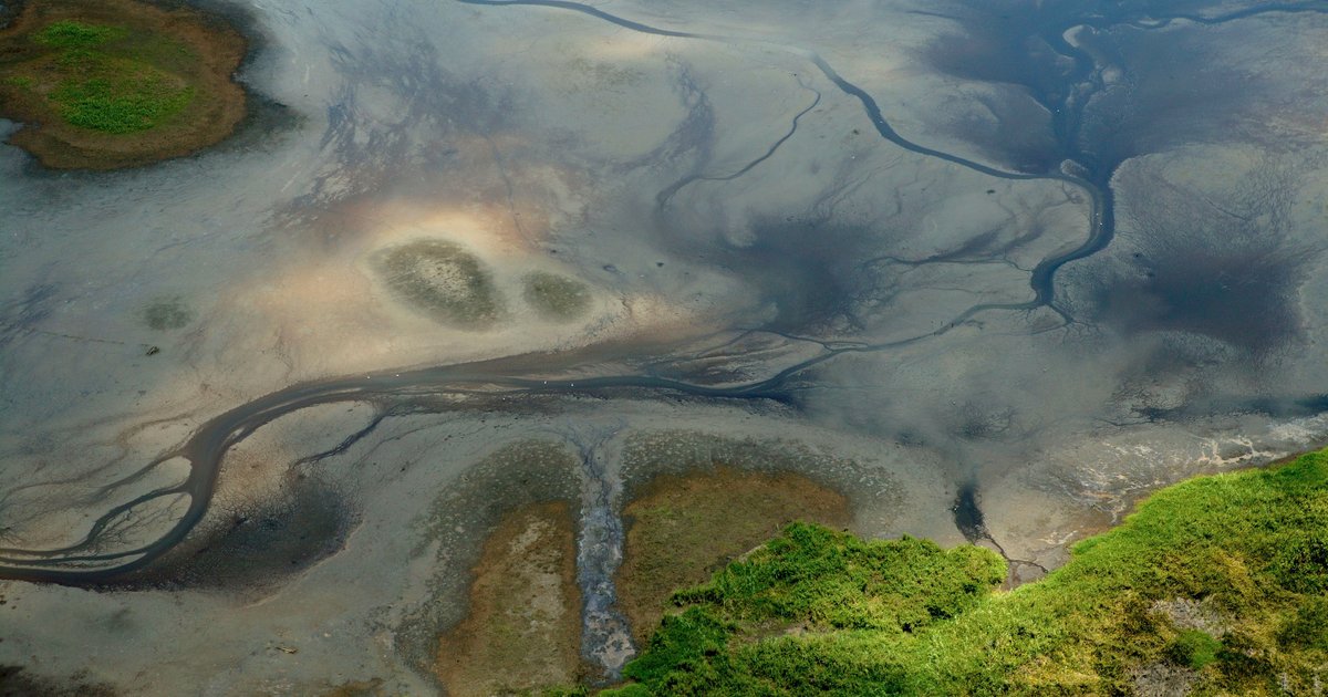 The Freshwater Challenge: Restoring Rivers and Wetlands | World ...