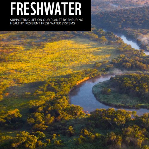 Freshwater Factsheet | WWF