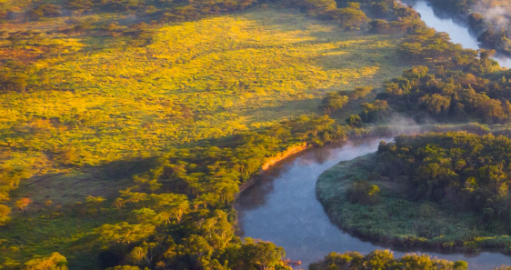 Freshwater Factsheet | WWF
