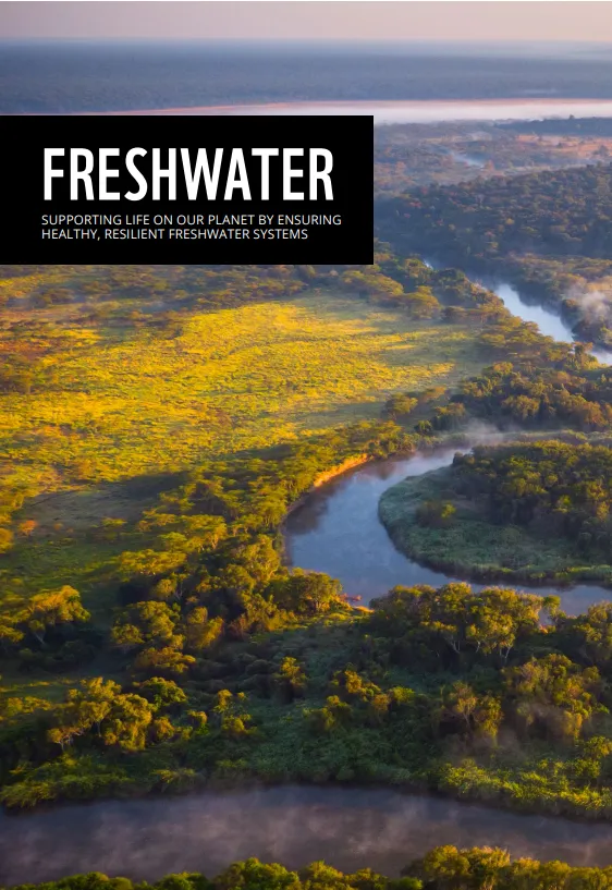 Freshwater Factsheet | WWF