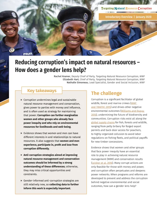 Reducing corruption‚'s impact on natural resources ‚Äì How does a ...