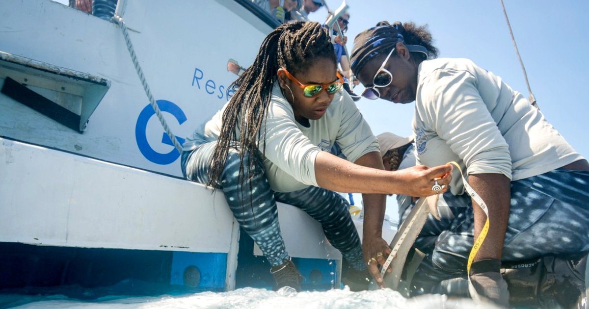 Jasmin Graham Champions Diversity in Marine Science | WWF