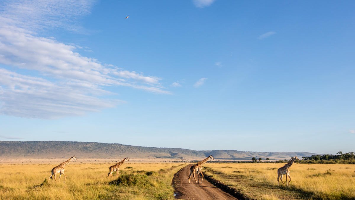 Sustainable Infrastructure Development | WWF
