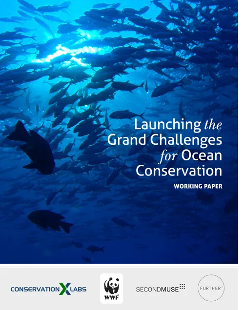 Grand Challenges for Oceans | World Wildlife Fund