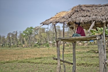 What is human-wildlife conflict? | World Wildlife Fund