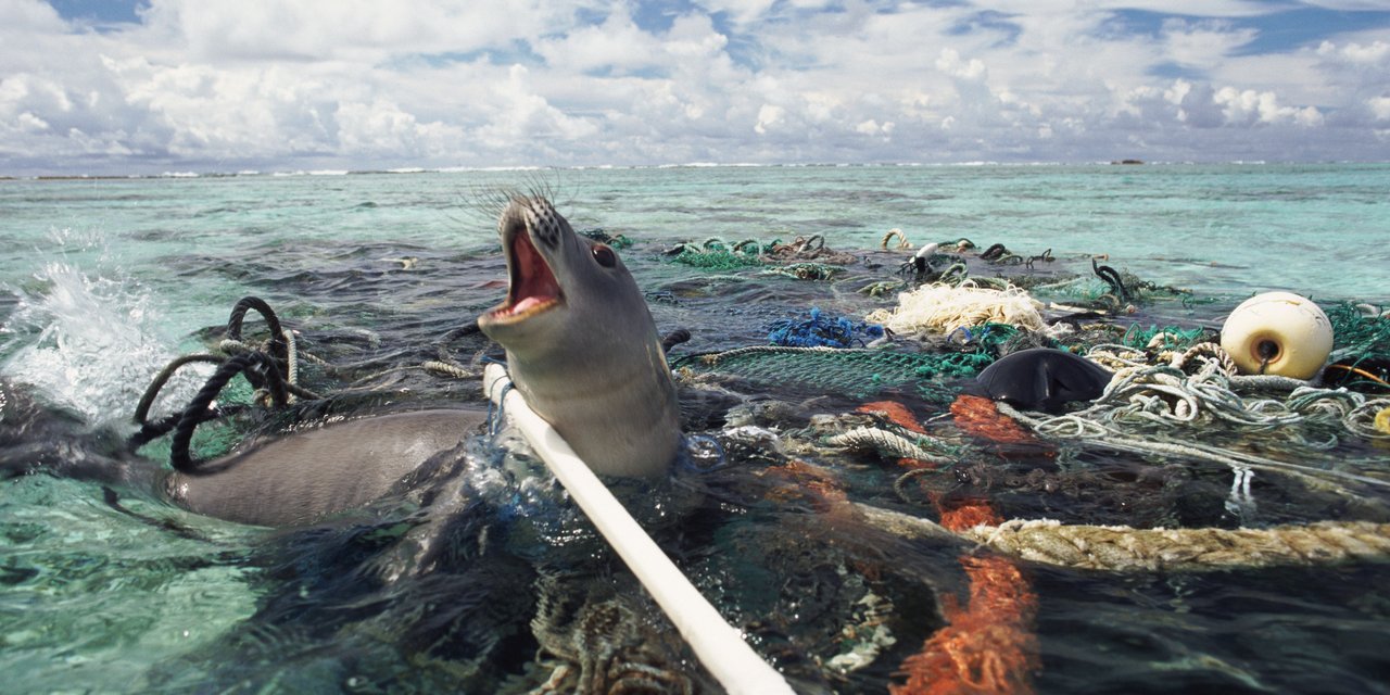 Ghost Nets: A Deadly Threat to Marine Life and Oceans | WWF