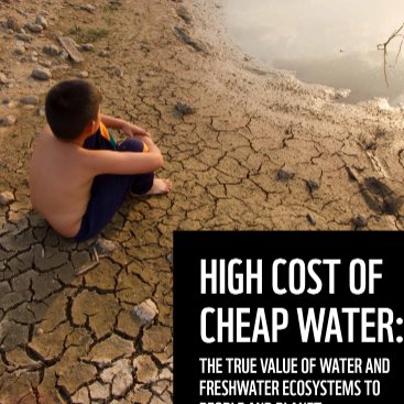 High Cost of Cheap Water: The True Value of Water and Freshwater ...