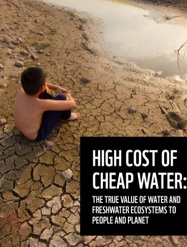 High Cost of Cheap Water: The True Value of Water and Freshwater ...