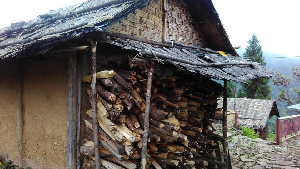 Red Pandas, Climate Change, and the Fight to Save Forests | World ...