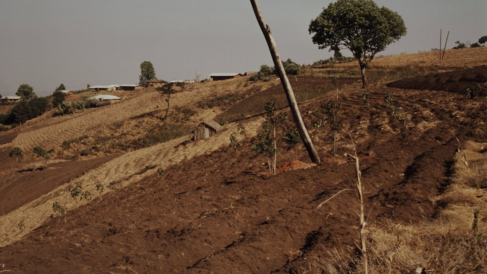 Soil Erosion and Land Degradation | WWF