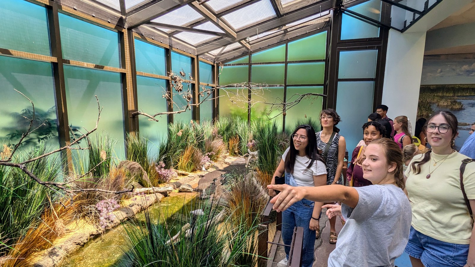 BRIDGE Internships - Apply Now! | World Wildlife Fund