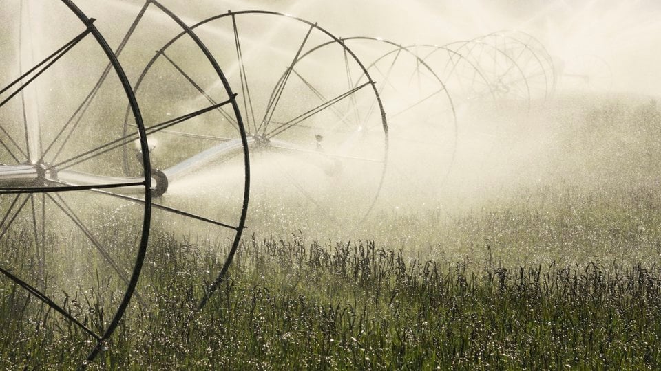 Rethinking Water Efficiency for Sustainability | WWF