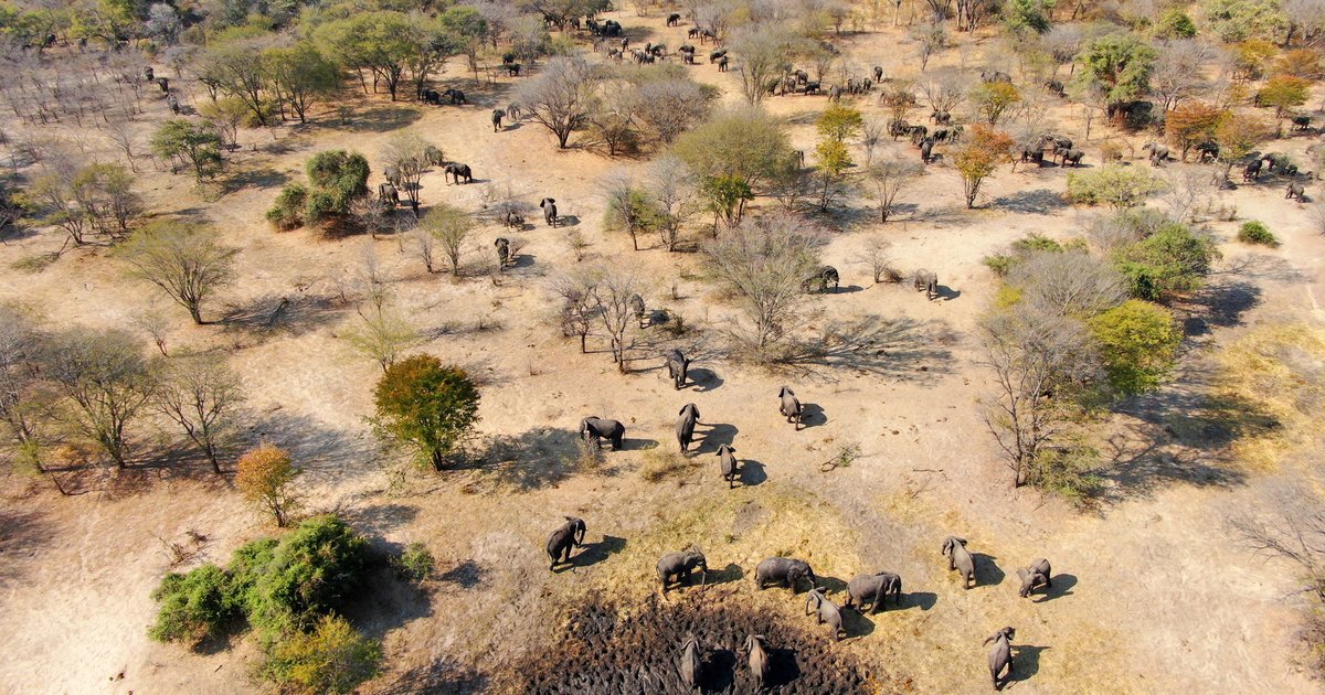 World Wildlife Magazine | Spring 2024 | World Wildlife Fund