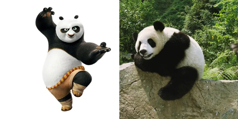 Kung Fu Panda 4 | World Wildlife Fund