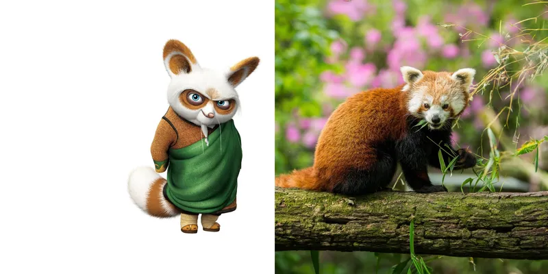 Shifu Animal Kung Fu Panda