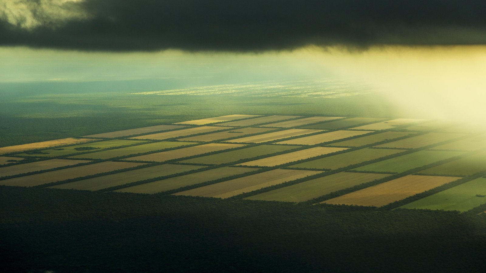 The Gran Chaco Forest | WWF | World Wildlife Fund