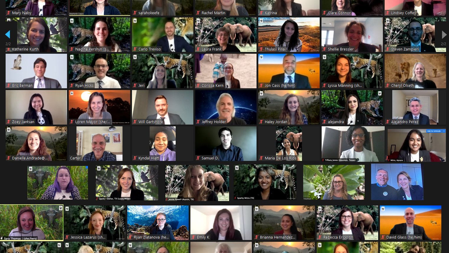 WWF Activism and Outreach Highlights of 2021 | World Wildlife Fund