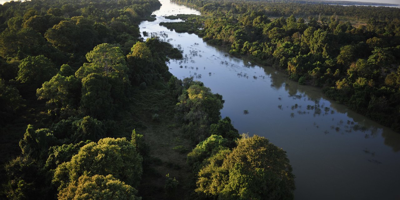 Why River Connectivity Matters | WWF