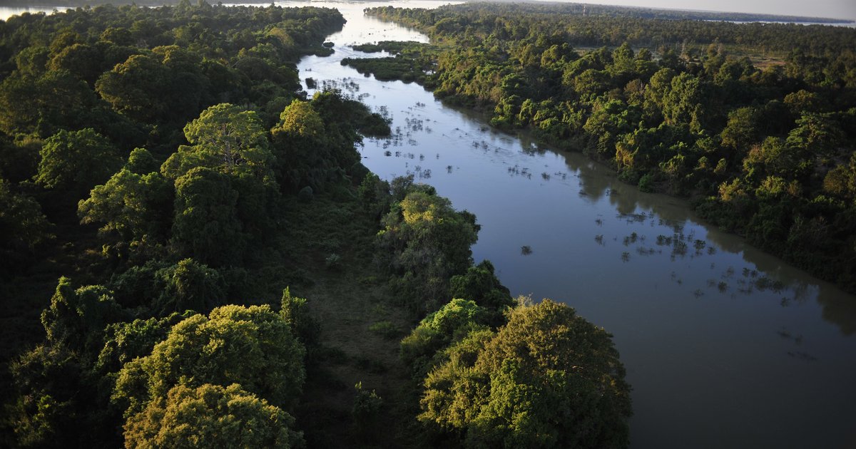Why River Connectivity Matters | World Wildlife Fund