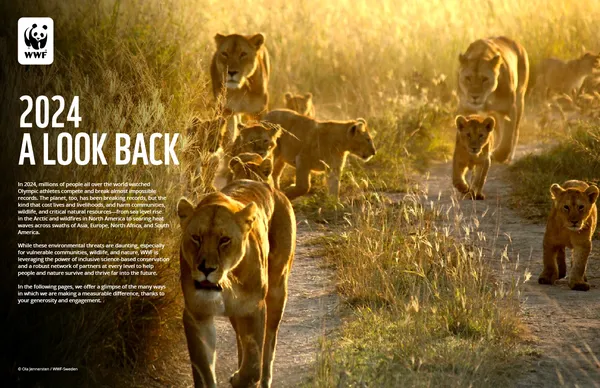 2024 A Look Back | WWF