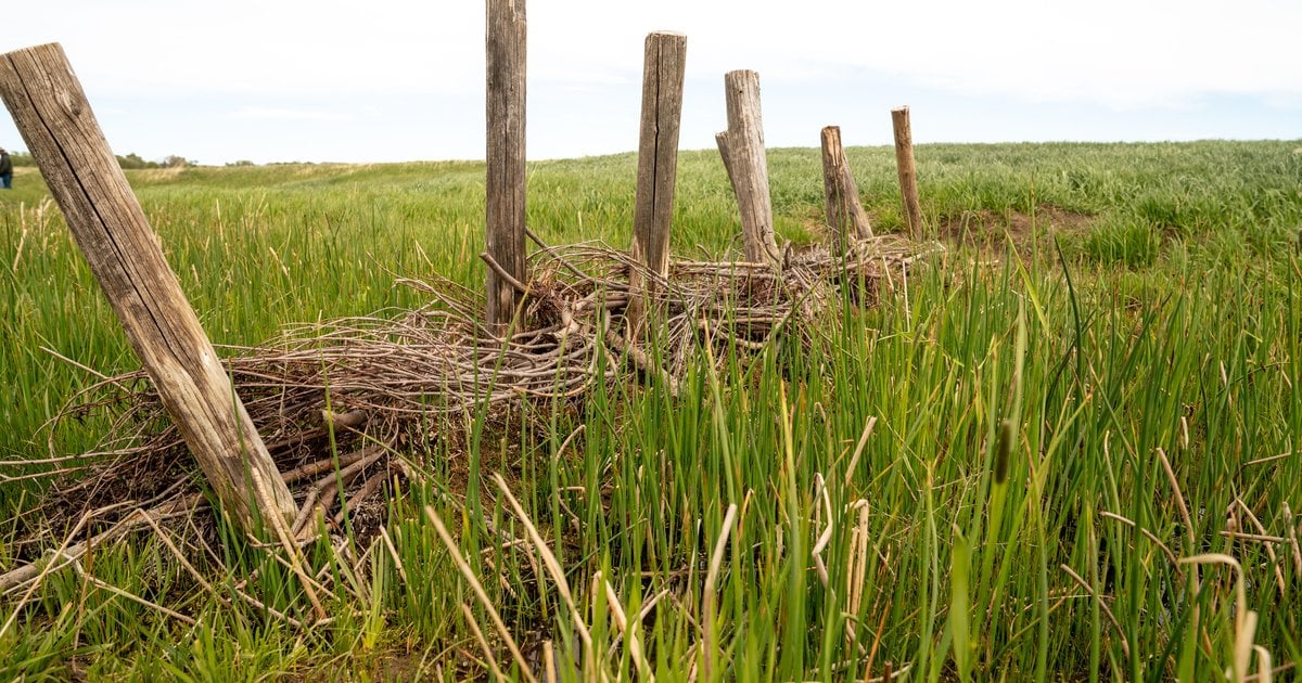 Video: Ranching with Low-Tech Structures | World Wildlife Fund
