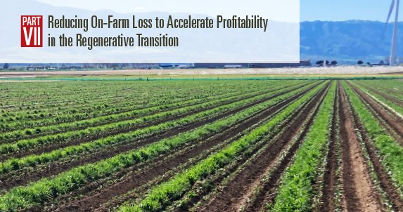 No Food Left Behind, Part 7: Reducing On-Farm Loss to Accelerate ...