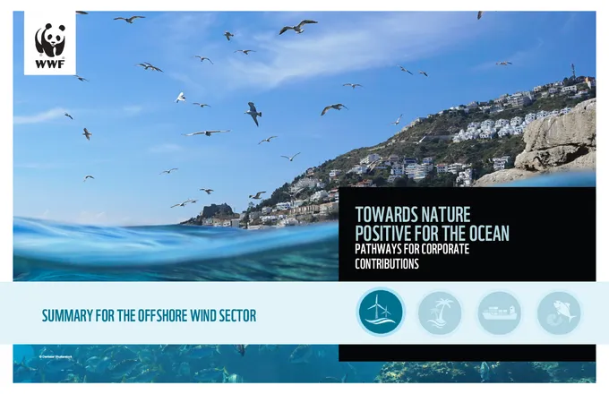Our publications | World Wildlife Fund