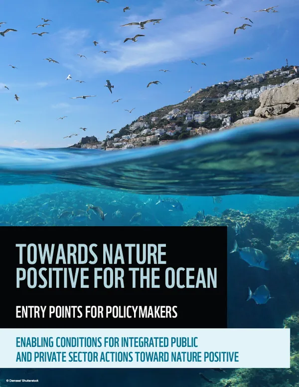 Towards Nature Positive for the Ocean: Policy Brief | World Wildlife Fund