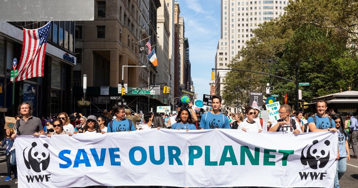 Take Action for Conservation | WWF | World Wildlife Fund