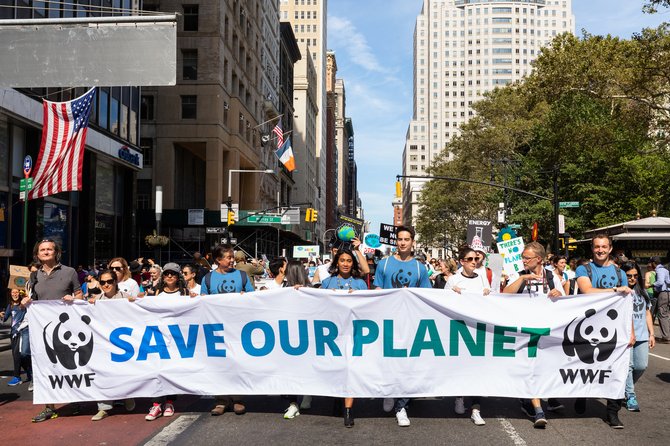 WWF Activism Highlights and Impact in 2019 | World Wildlife Fund