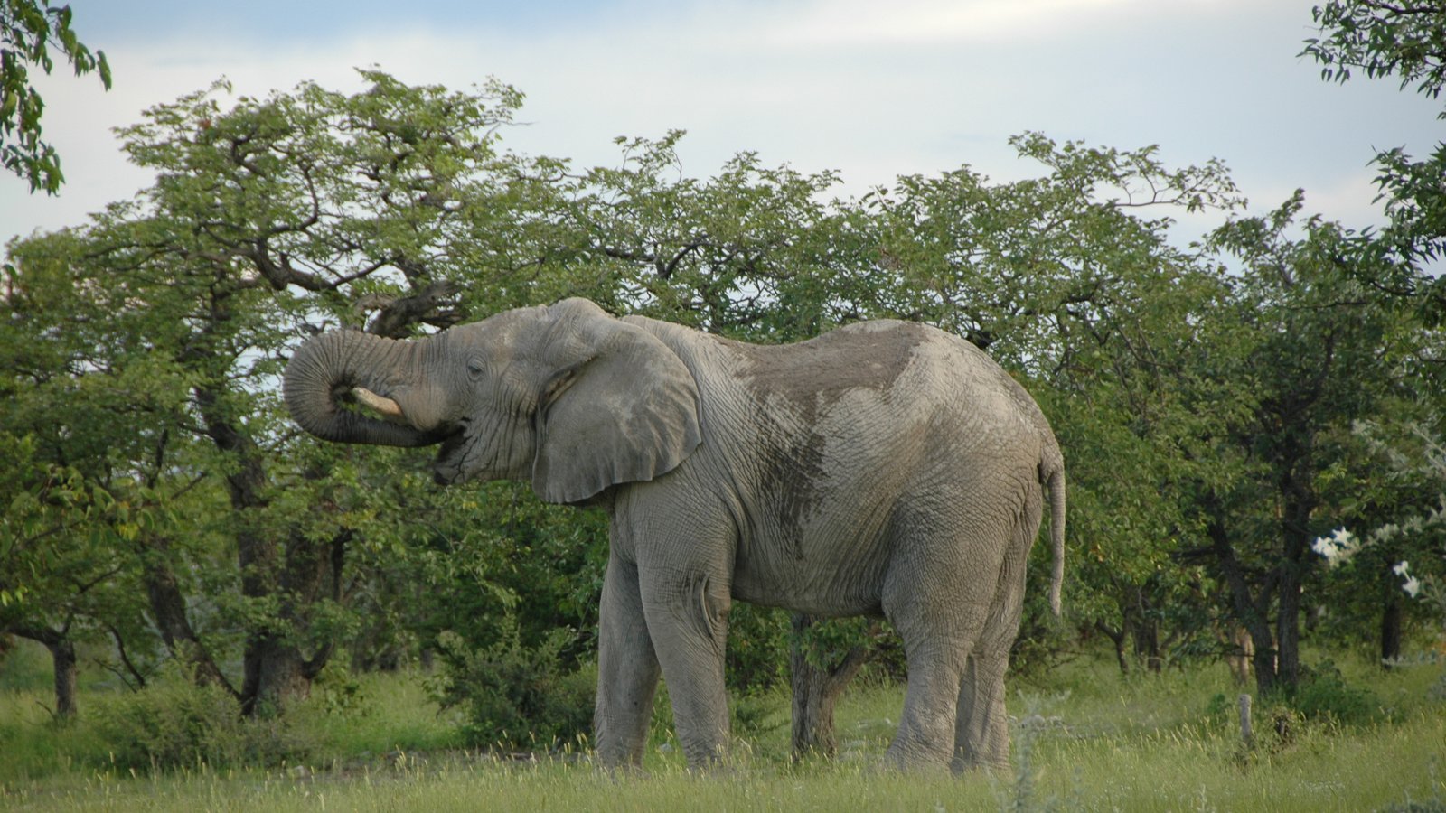 Namibia's Animals and People | WWF | World Wildlife Fund