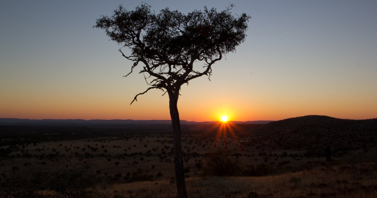 Namibia’s Communal Conservancies Empower Conservation | World Wildlife Fund