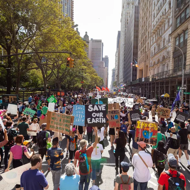 WWF Activism Highlights and Impact in 2019 | World Wildlife Fund